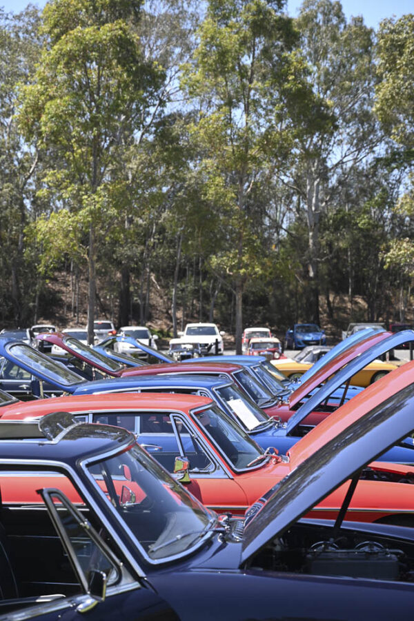 Photo Gallery: 2023's Concours d'Elegance and Display Day - The MG Car ...